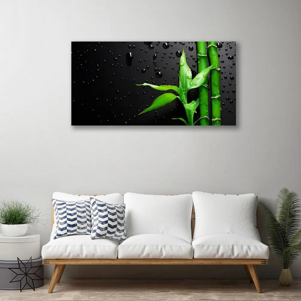 Obraz na plátně Bambus Listy Rostlina 100x50 cm