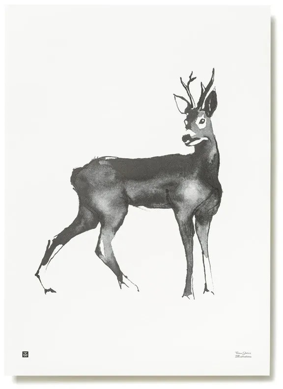 Plakát Roe Deer 50x70