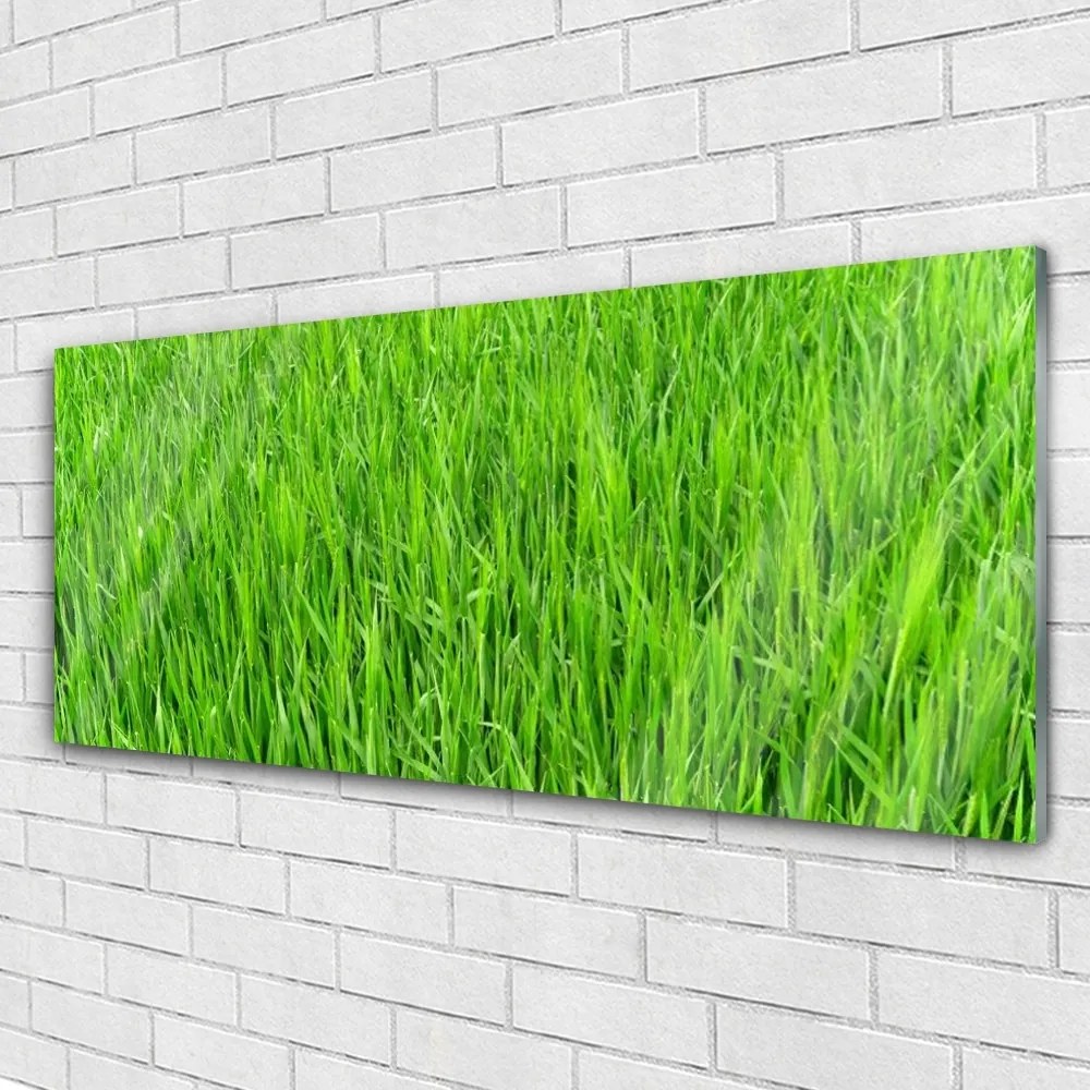Plexisklo-obraz Zelená Tráva Příroda Trávník 125x50 cm