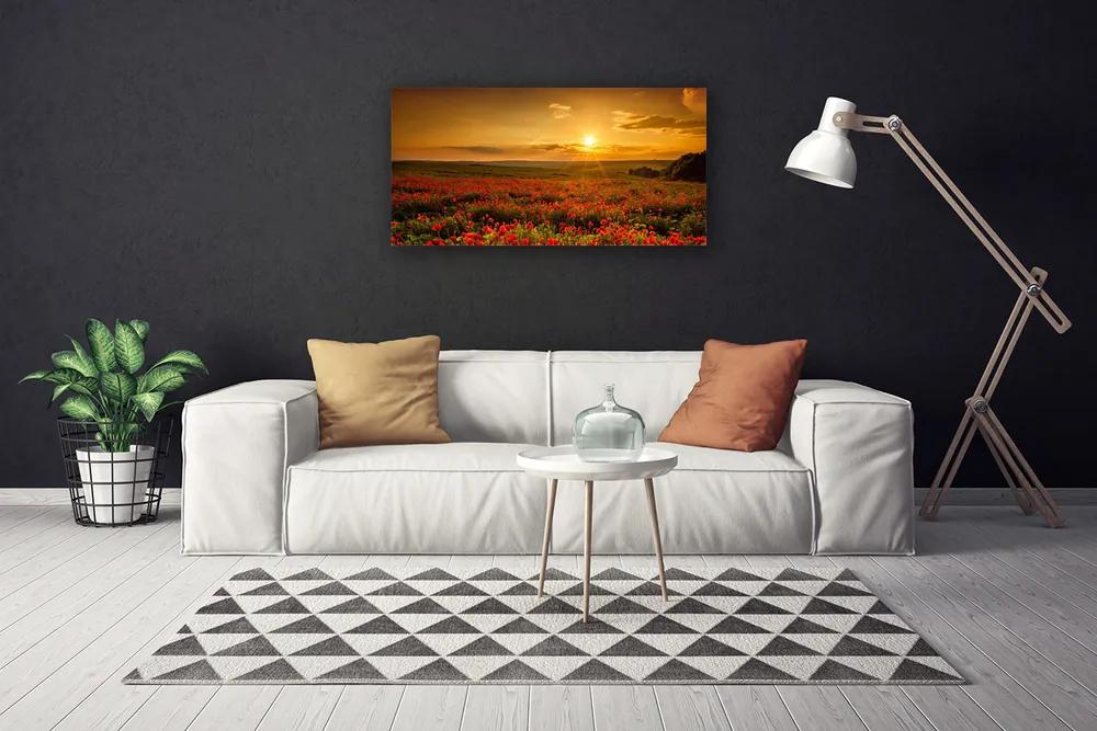 Obraz na plátně Pole Máky Západ Slunce Louka 120x60 cm