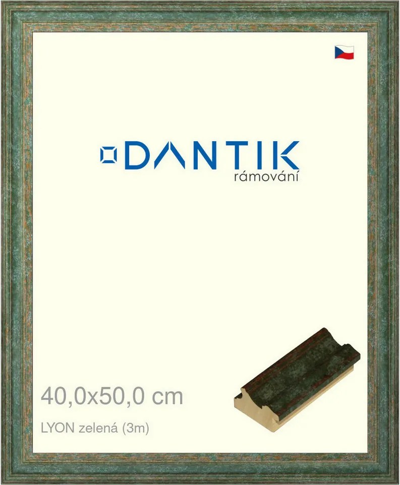 DANTIK rámeček 40x50 | LYON zelená (Sklo Čiré)