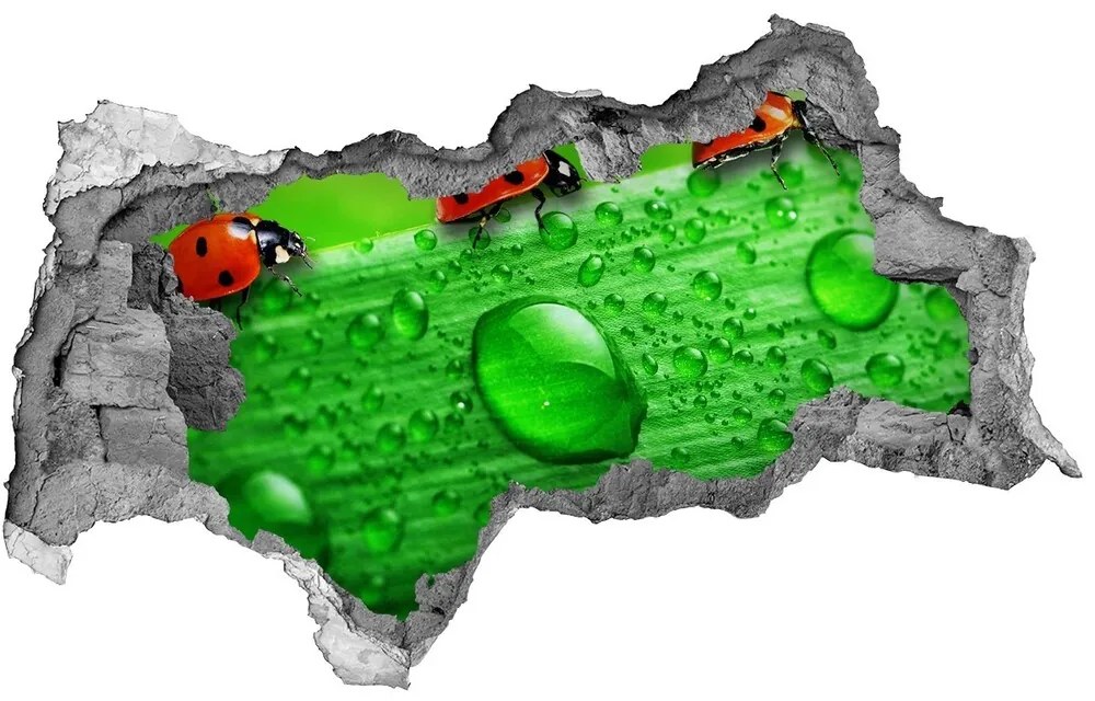 Wallmuralia Díra 3D fototapeta Berušky na trávě 95x73 cm