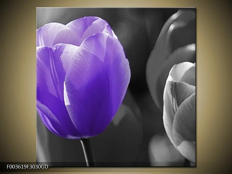 Obraz fialové květiny  (), 40 dalších rozměrů