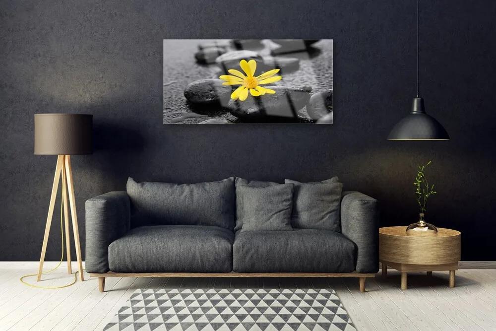 Obraz na skle Květ Kameny Rostlina Lázně 125x50 cm
