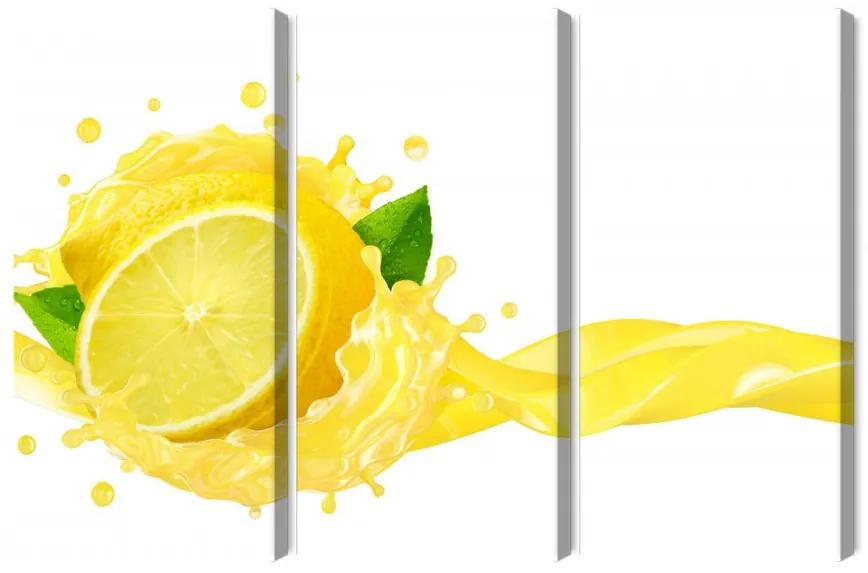 Vícedílný obraz Čerstvá Citronová Šťáva Nedostatek Nedostatek Přírodní plátno 180x120