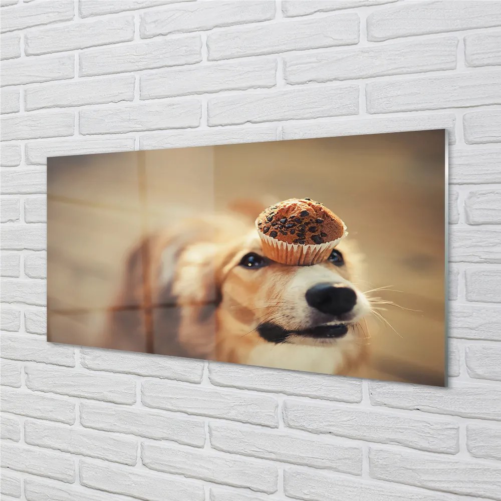 akrylový obraz dog bun 100x50 cm