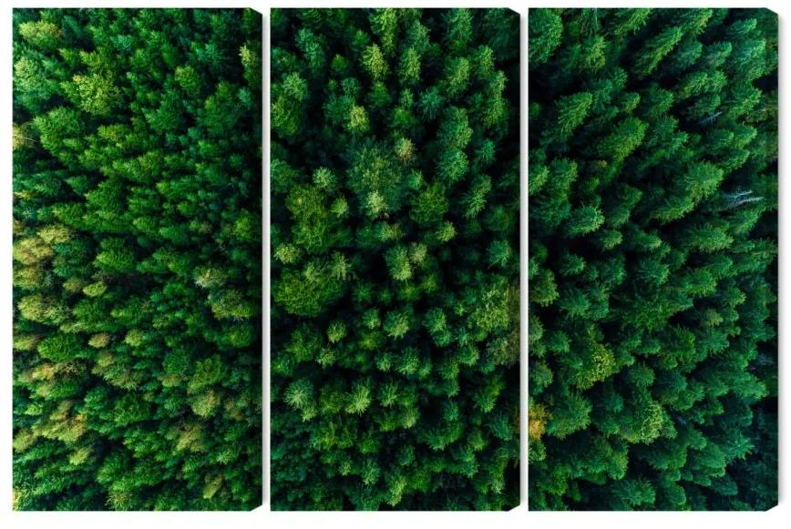 Vícedílný obraz Letecký Pohled Na Zelený Les Nedostatek Nedostatek Plátno Canvas 150x100