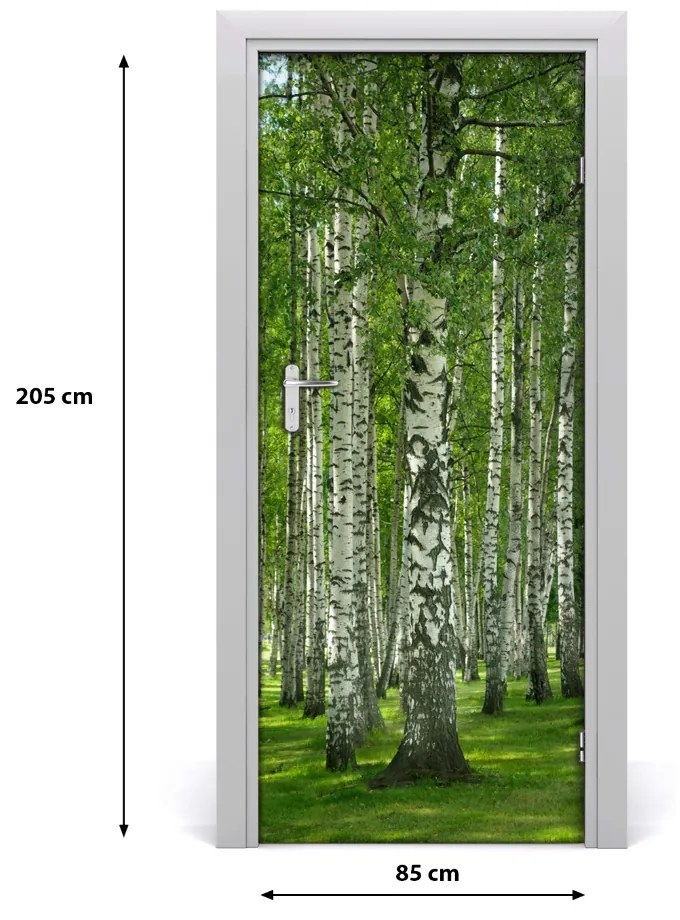 Fototapeta na dveře břízový les 85x205 cm