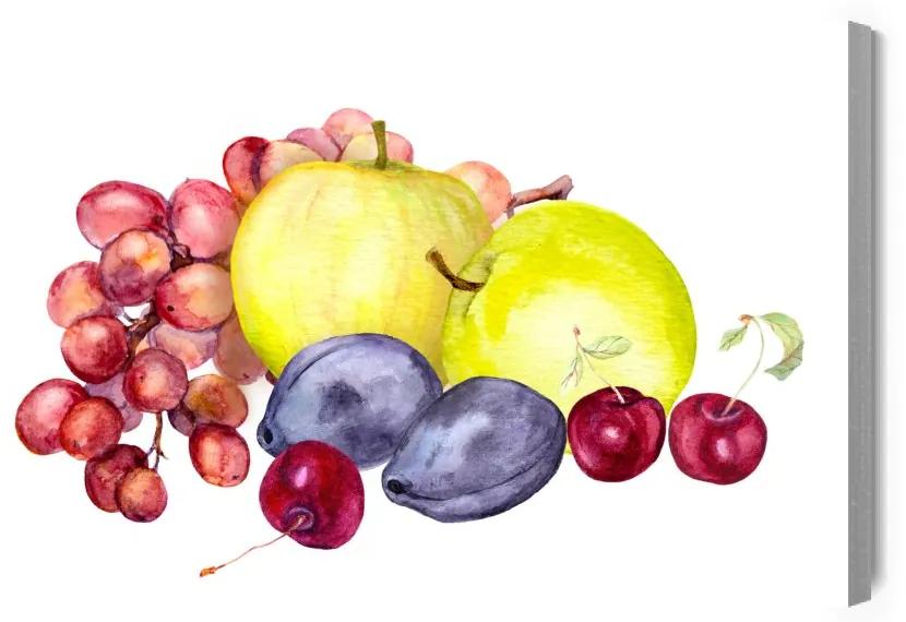 Obraz Letní Ovoce Malované Akvarelem Nedostatek Nedostatek Plátno Canvas 40x30