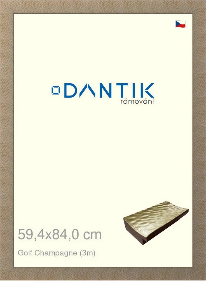 DANTIK rámeček 59,4x84 | Golf champagne (Plexi Čiré)