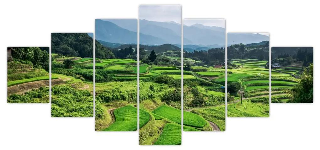 Obraz rýžových polí (210x100 cm)