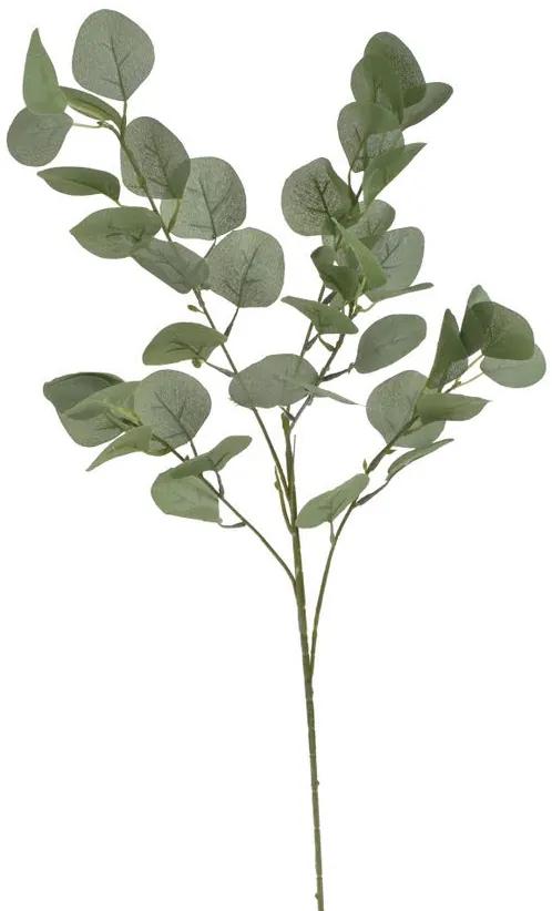 eukalyptus 90 cm - zelená světlá