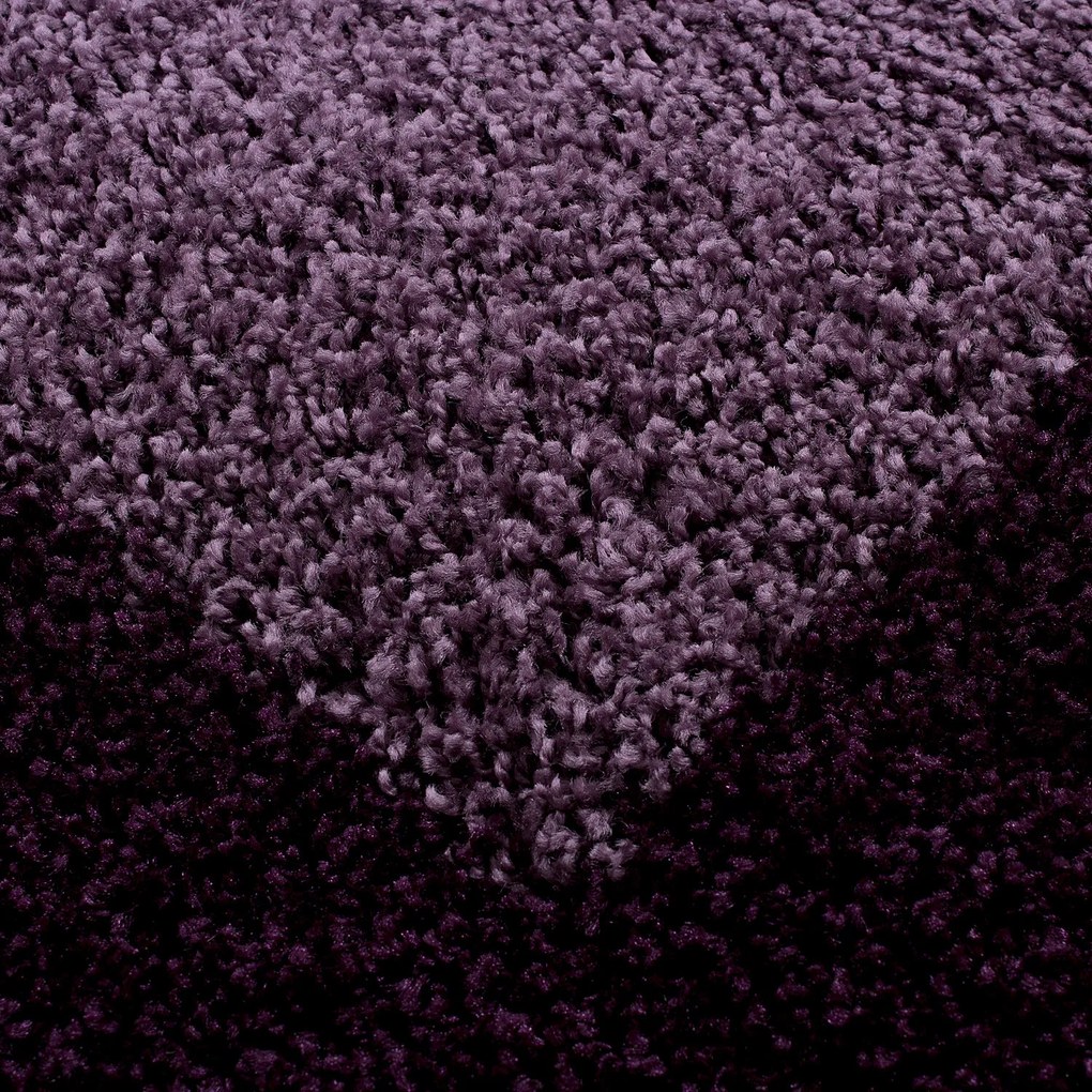 Ayyildiz koberce Kusový koberec Life Shaggy 1503 lila Rozměry koberců: 120x170