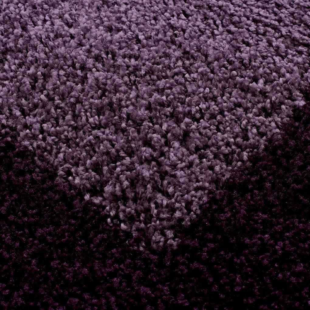 Ayyildiz koberce Kusový koberec Life Shaggy 1503 lila Rozměry koberců: 80x150