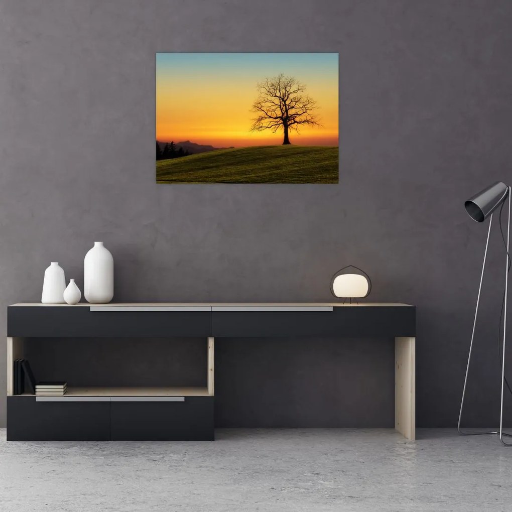 Skleněný obraz stromu na poli (70x50 cm)