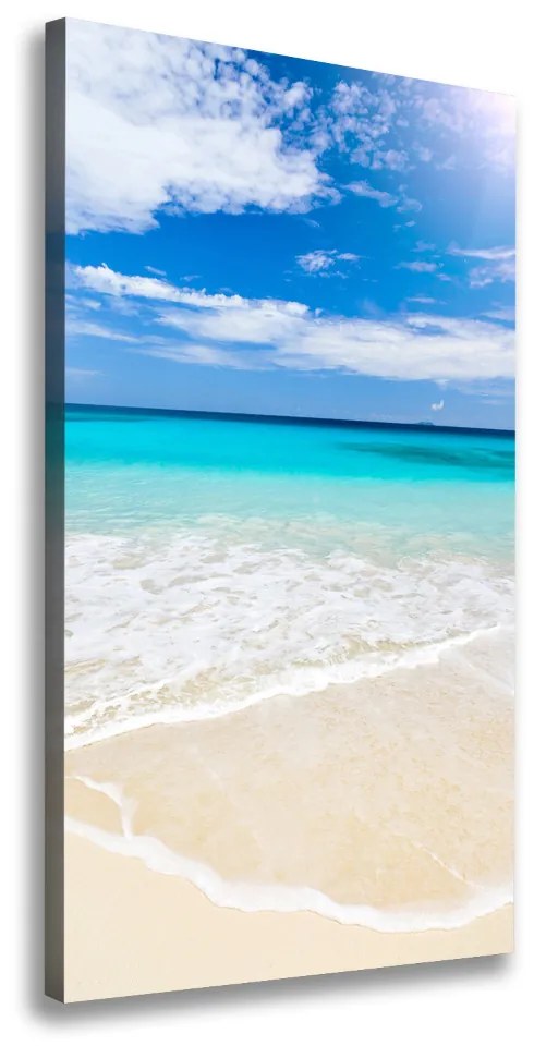 Wallmuralia Vertikální Foto obraz na plátně Tropická pláž 50x100