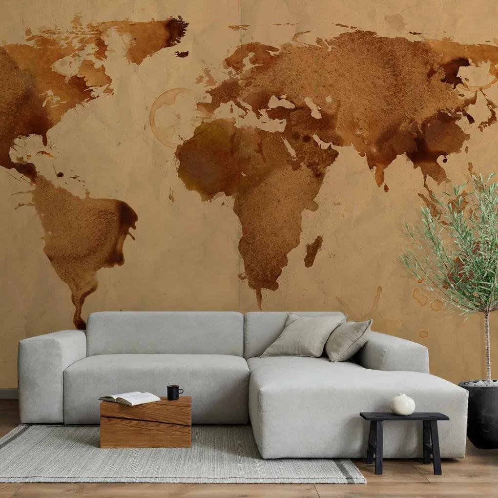 Fototapeta Tea map of the World