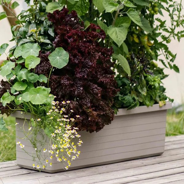 Samozavlažovací velkoobjemový truhlík Berberis TRIO taupe 117 cm