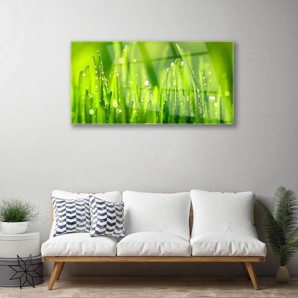 Obraz na skle Zelená Tráva Kapky Rosy 100x50 cm
