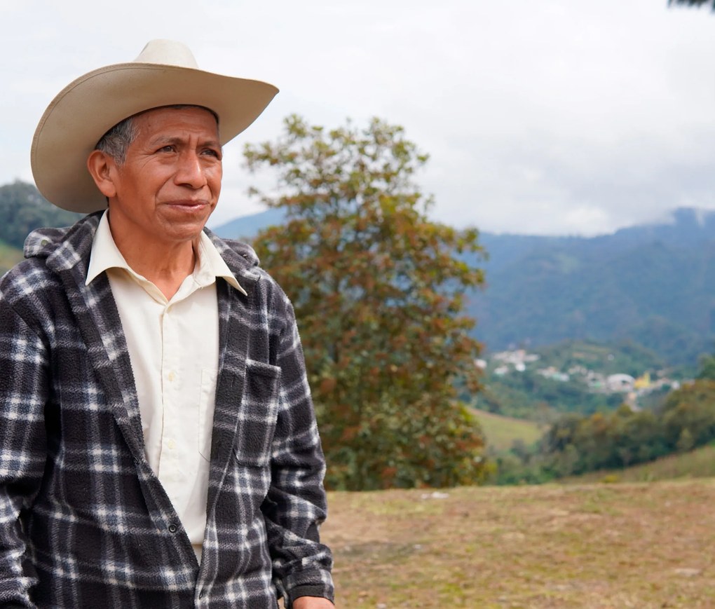 Tchibo - Rarita Chiapas Mexiko − 500 g zrnkové kávy - Intenzita: 3/6