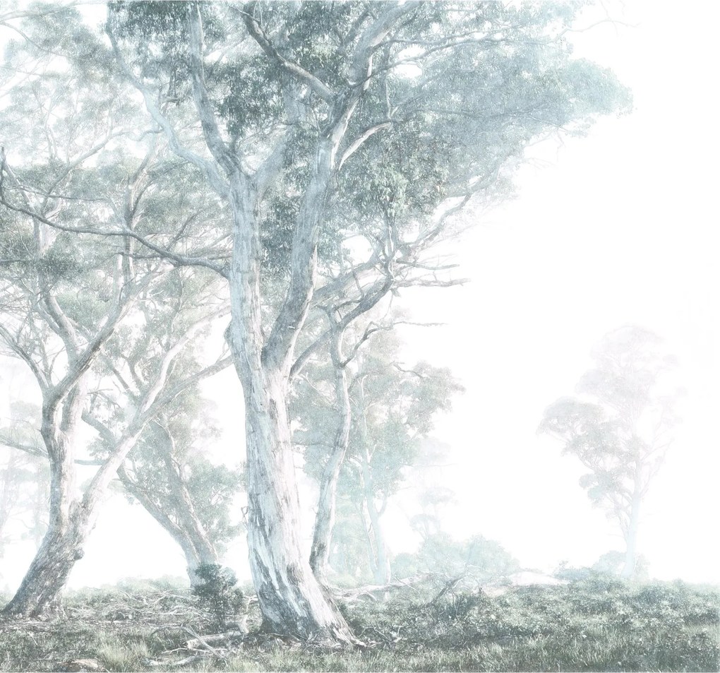 Komar Vliesová fototapeta Magic Trees 300 x 280 cm