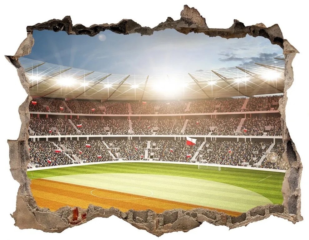 Wallmuralia Fototapeta díra na zeď 3D Stadion Polsko 95x64 cm