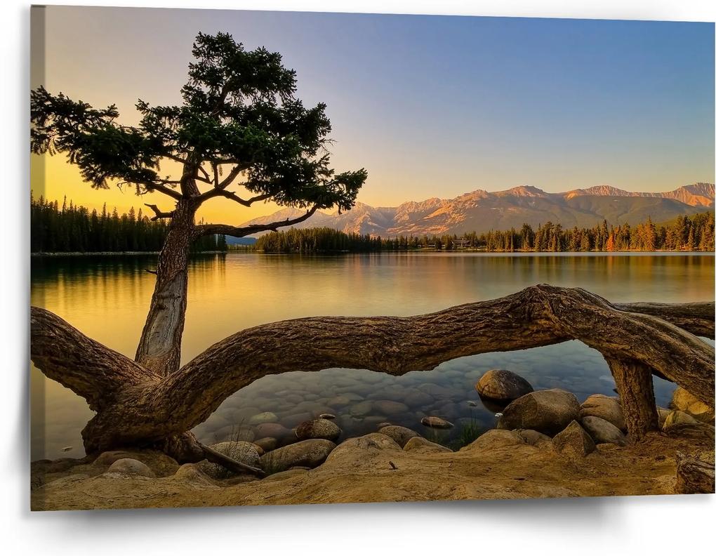 Obraz SABLO - Strom u jezera 50x50 cm