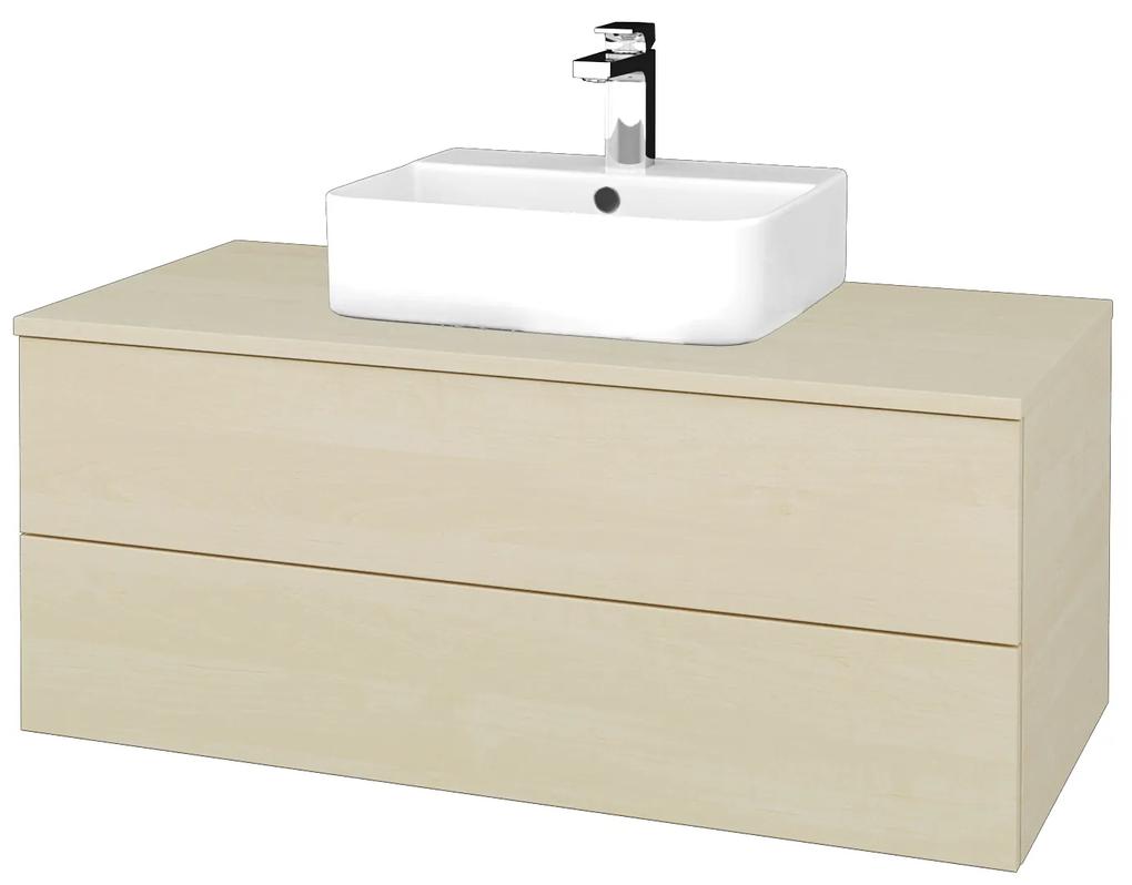 Dřevojas Koupelnová skříňka MODULE SZZ2 100 Varianta: N01 Bílá lesk / IND Individual