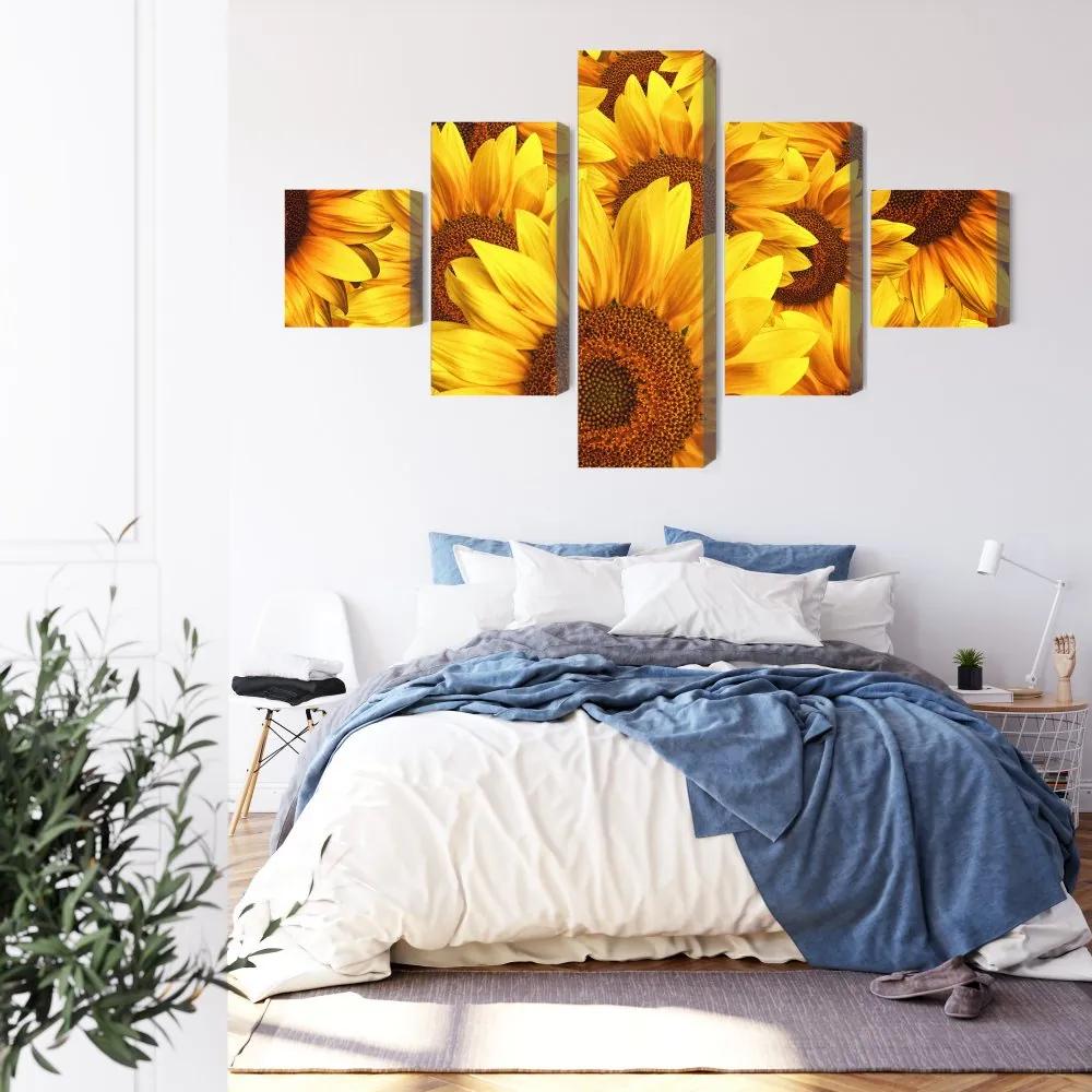 Vícedílný obraz 3D Květy Slunečnice Nedostatek Nedostatek Plátno Canvas 200x120