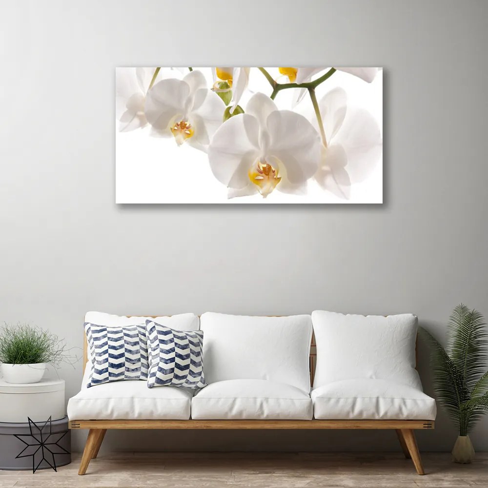 Obraz na plátně Orchidej Květiny Příroda 100x50 cm