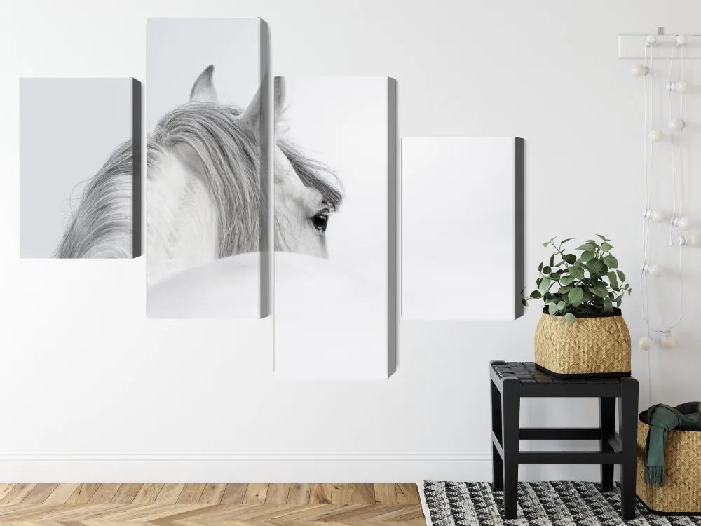 Vícedílný obraz Andaluský Kůň V Mlze Nedostatek Nedostatek Přírodní plátno 80x50