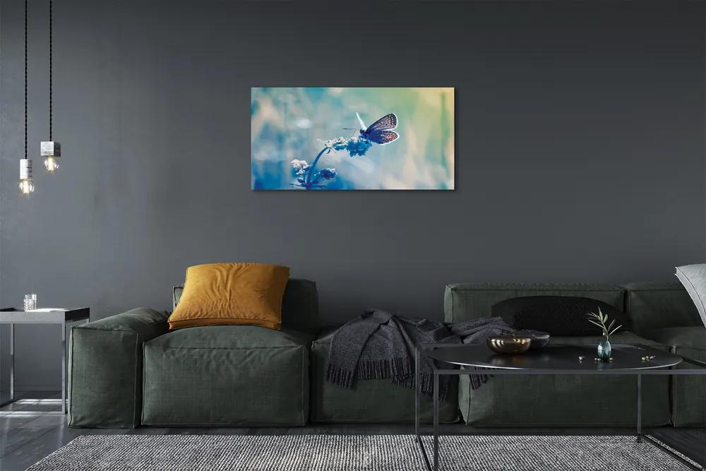 Obrazy na plátně barevný motýl 100x50 cm