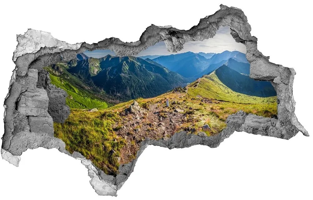Wallmuralia Samolepící díra na stěnu Horské panorama 95x73 cm