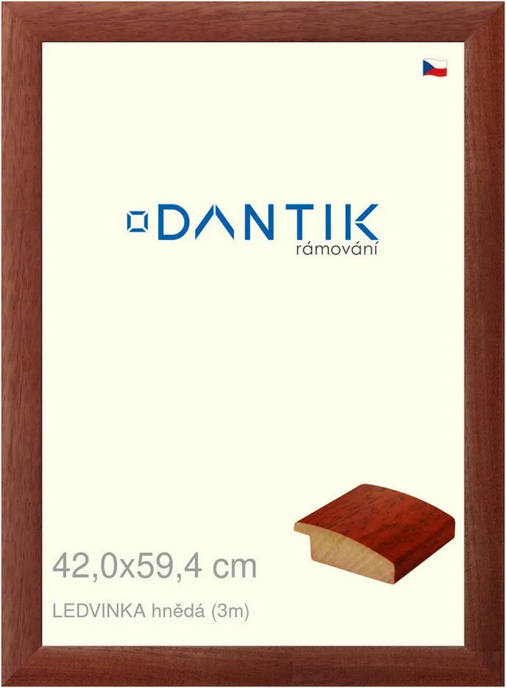 DANTIK rámeček 42x59,4 | LEDVINKA hnědá (Plexi Čiré)