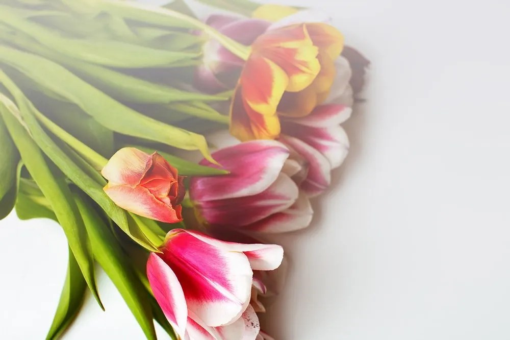 Samolepící fototapeta kytice tulipánů - 150x100 cm
