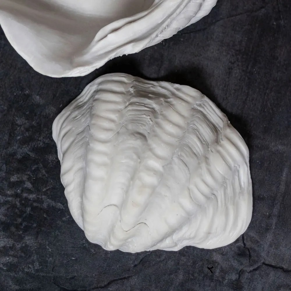 Dekorativní mísa z polyresinu 24x19 cm Shell – Mette Ditmer Denmark