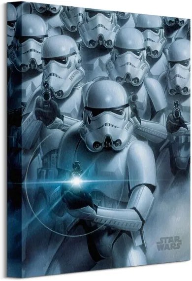 Obraz na plátně Star Wars (Stormtroopers) 30x40cm WDC92713