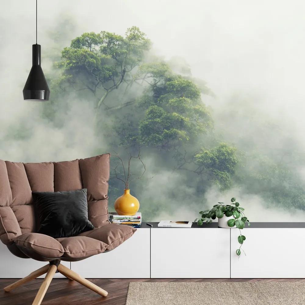 Fototapeta Tropical Forest In Japan, Nature Jungle With Green Tree And Fog, Concept Of Zin Therapy Comfortable Freedom Relaxing For Spa And Yoga, Eco Natural Sustainable Conservation Omyvatelný vlies 135x90