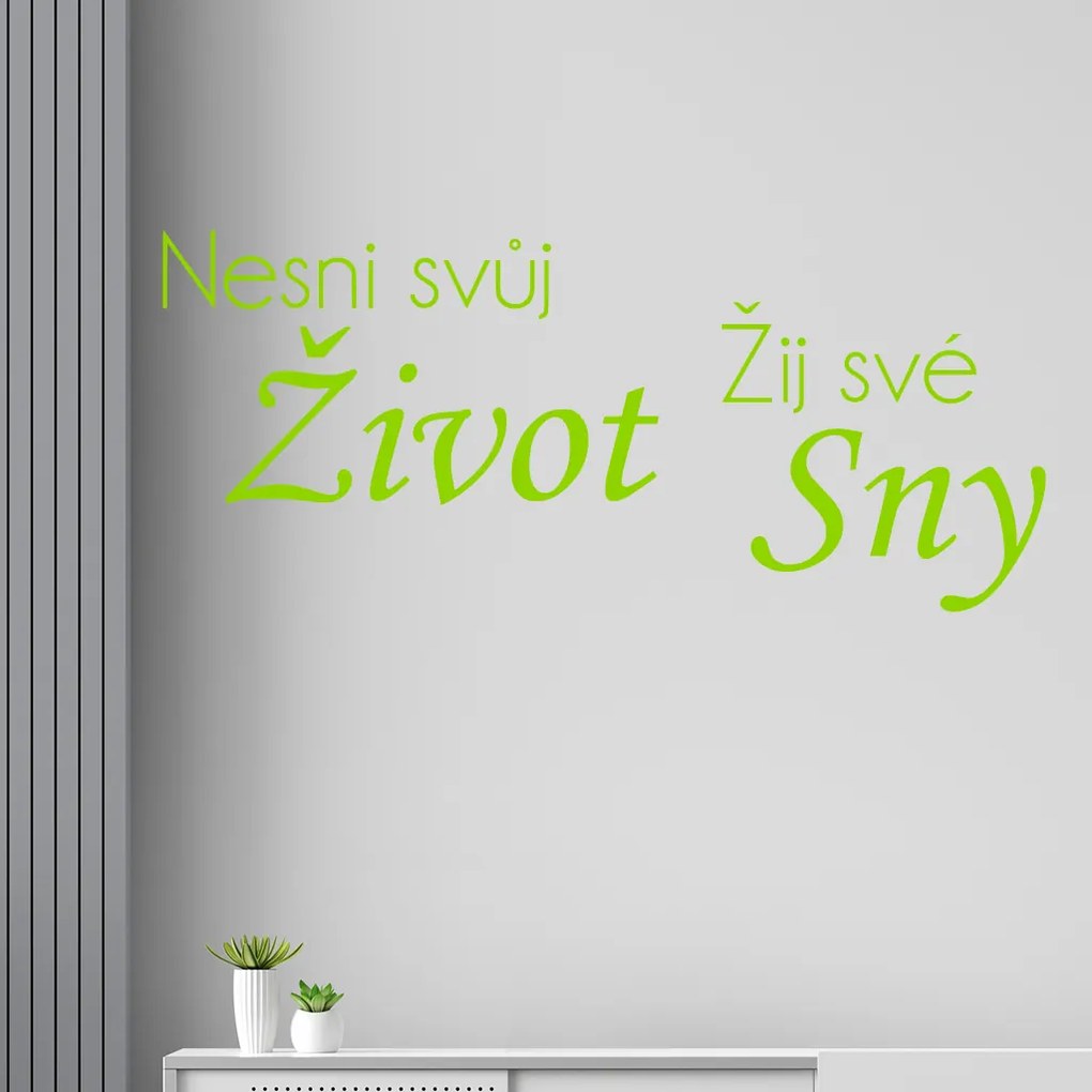 Živá Zeď Samolepka na zeď Nesni svůj život žij své sny Barva: černá