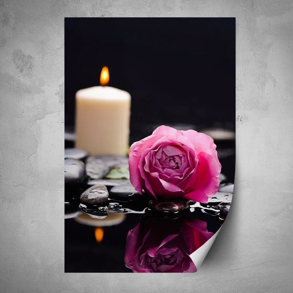 Plakát - Růže na černém pozadí (80x120 cm) - PopyDesign