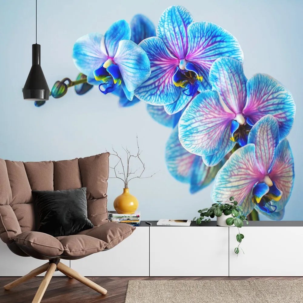 Fototapeta Barevná Orchideje Strukturální vinyl 104x70.5