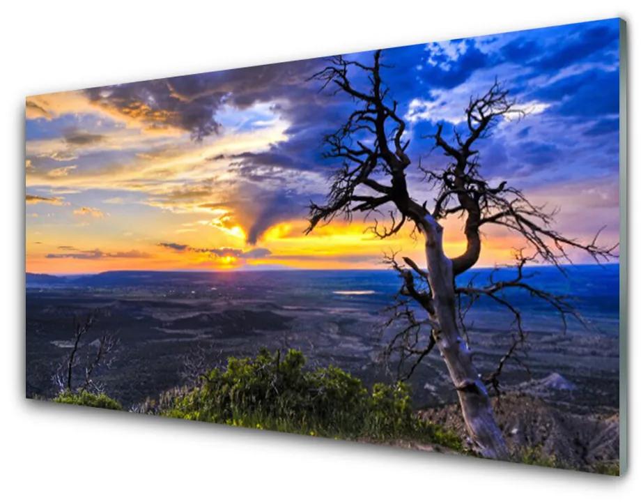 Obraz na skle Strom Zápas Slunce 140x70 cm