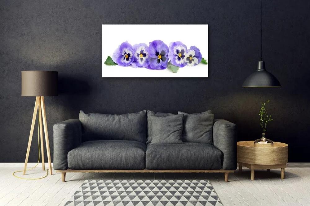 Obraz na skle Plátky Květ Macešky 125x50 cm