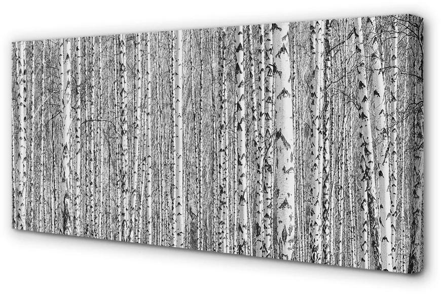Obrazy na plátně Černá a bílá strom les 125x50 cm