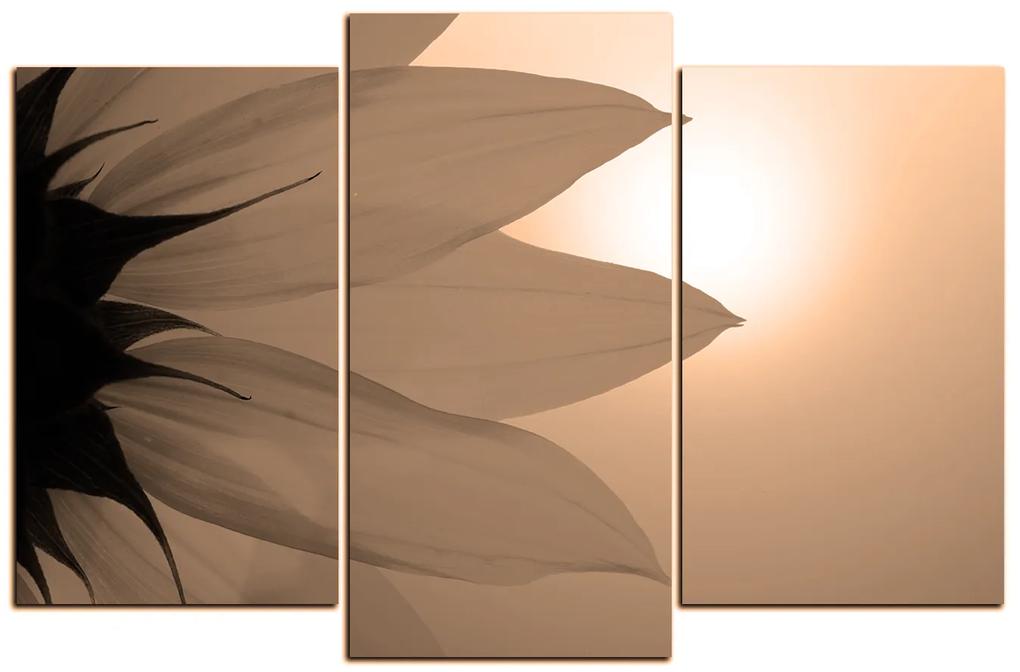 Obraz na plátně - Slunečnice květ 1201FC (135x90 cm)