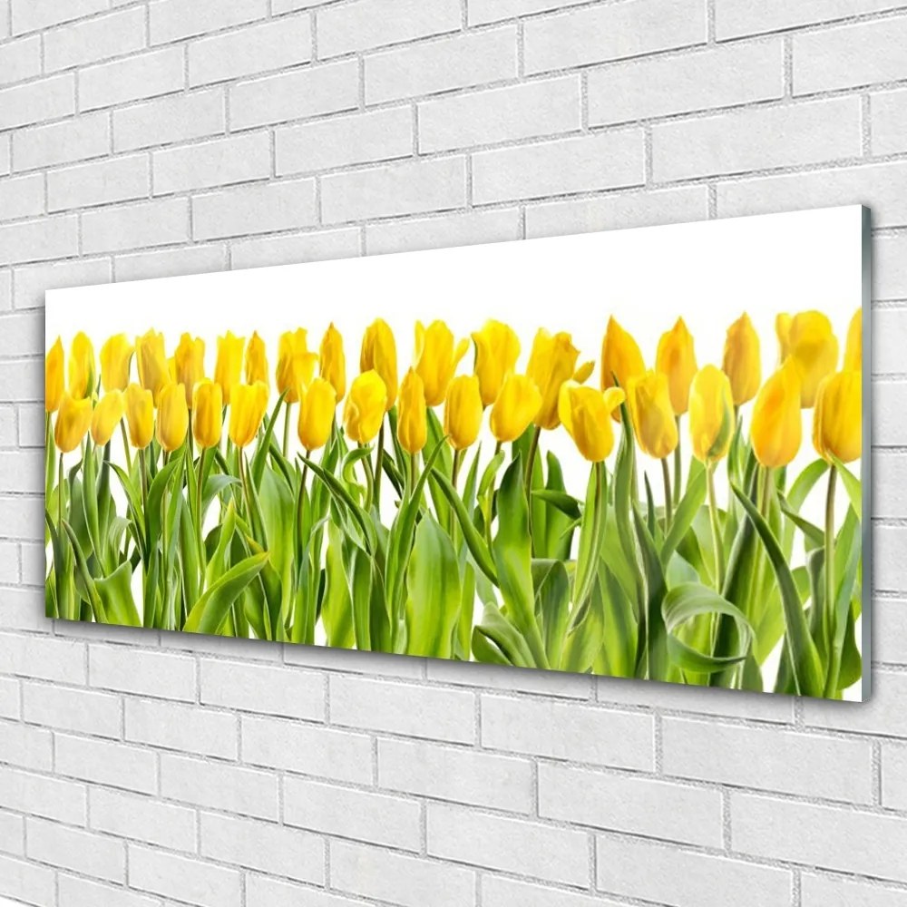 Plexisklo-obraz Tulipány Květiny Příroda 125x50 cm