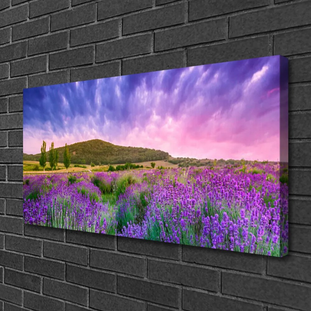 Obraz na plátně Louka Květiny Hory Příroda 140x70 cm