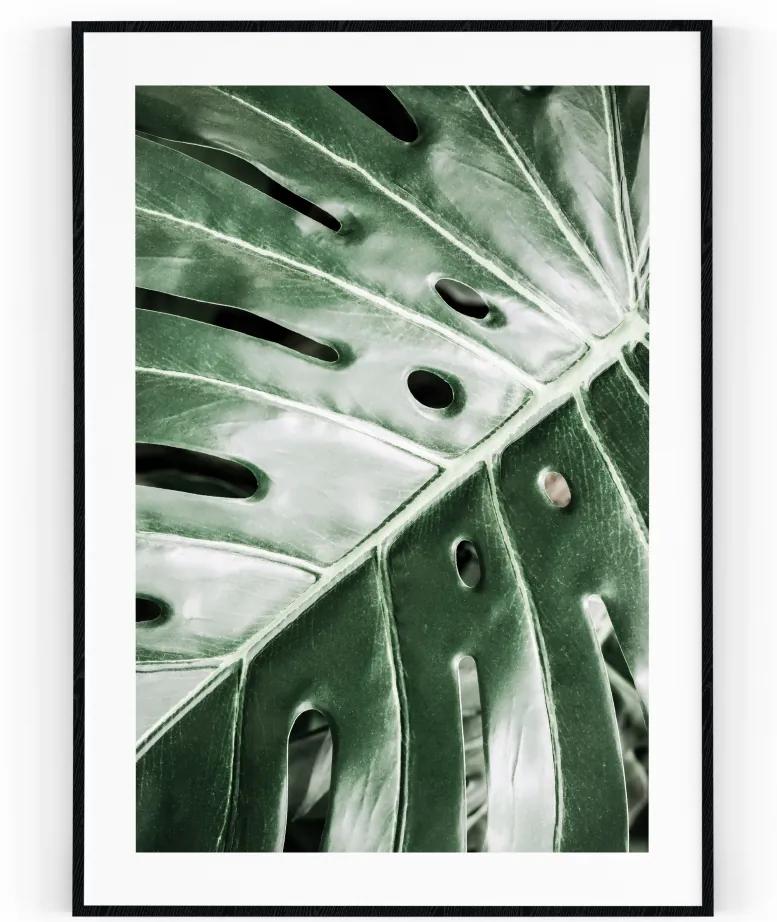 Plakát / Obraz Monstera S okrajem Pololesklý saténový papír 210 g/m² A4 - 21 x 29,7 cm