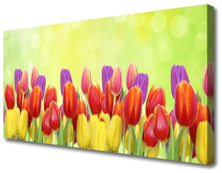 Obraz na plátně Tulipány Květiny Rostlina 125x50 cm