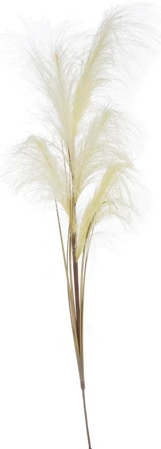 umělá pampová tráva (pampas) - krémová